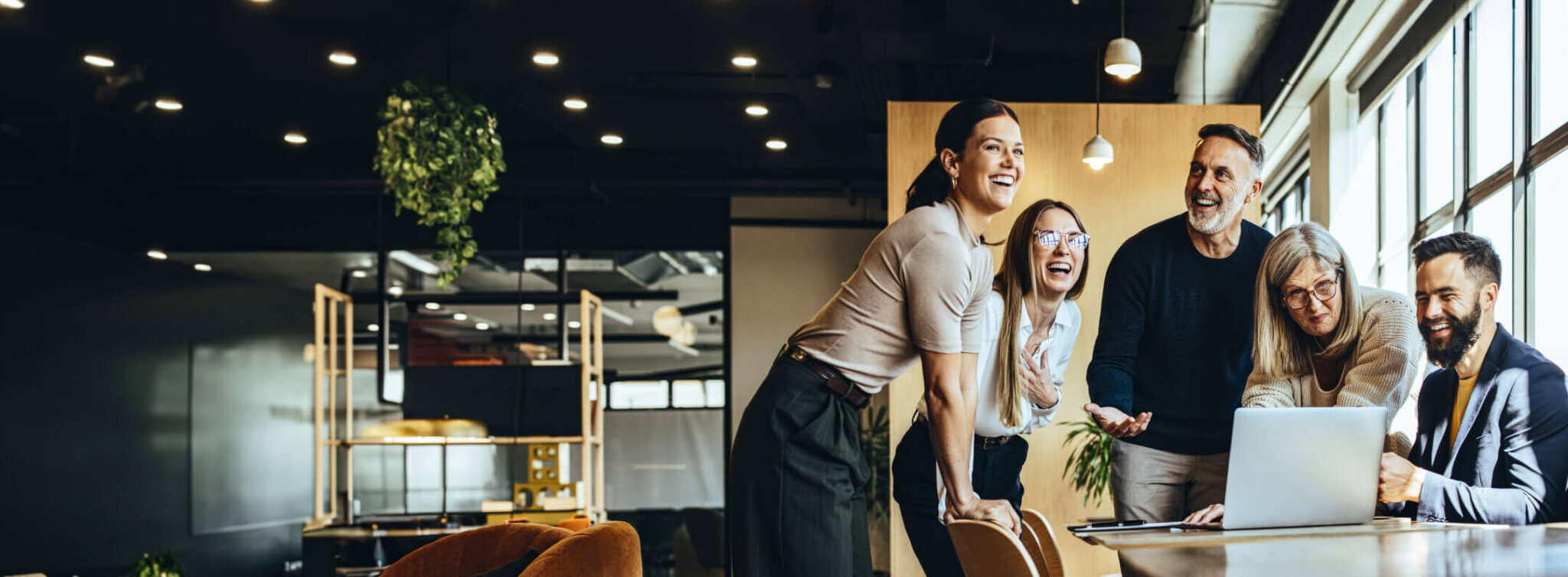 LSI - Business Development Service, Supply Chain & Logistics